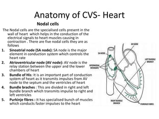 Cardiovascular system | PPTX