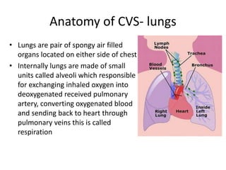 Cardiovascular system | PPTX