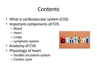 Cardiovascular system | PPTX