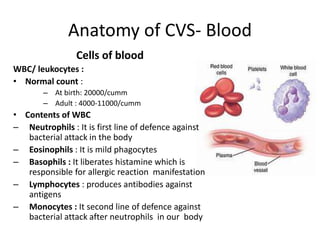 Cardiovascular system | PPTX