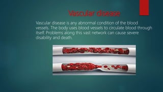 The Anatomy & Physiology of Cardiovascular system | PPTX
