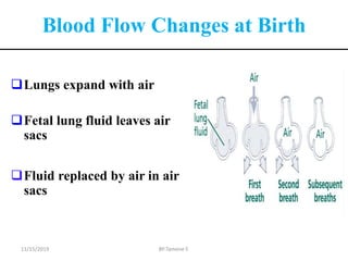 common cardio vascular system disorders in pediatrics | PPTX