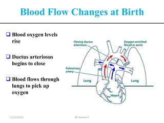 common cardio vascular system disorders in pediatrics | PPTX