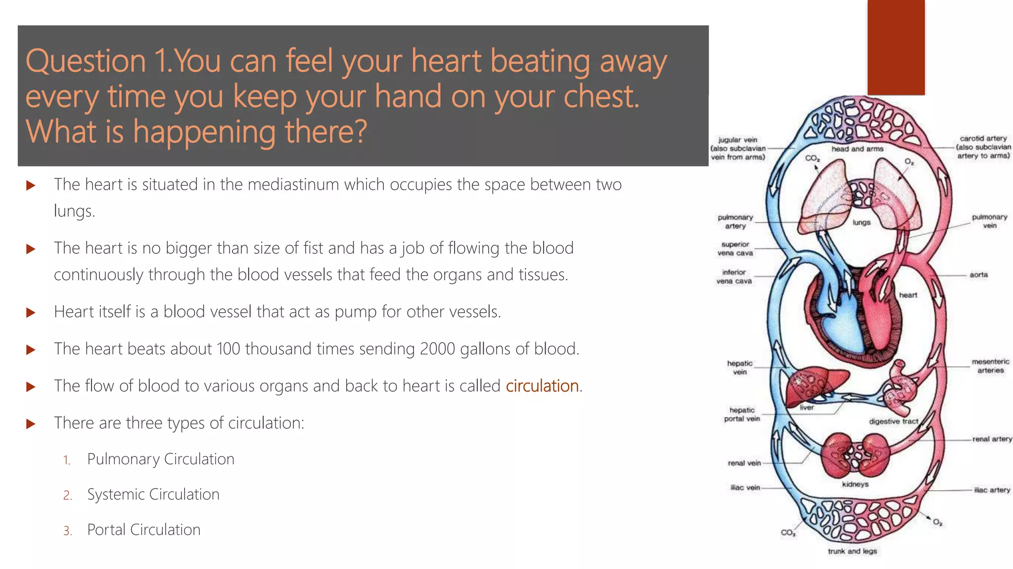 physiology of Cardiovascular system | PPTX