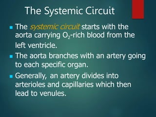 Cardiovascular system-2.pptx ....,...... | PPTX