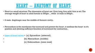 Cardiovascular system- Human Anatomy & Physiology 1st. | PDF