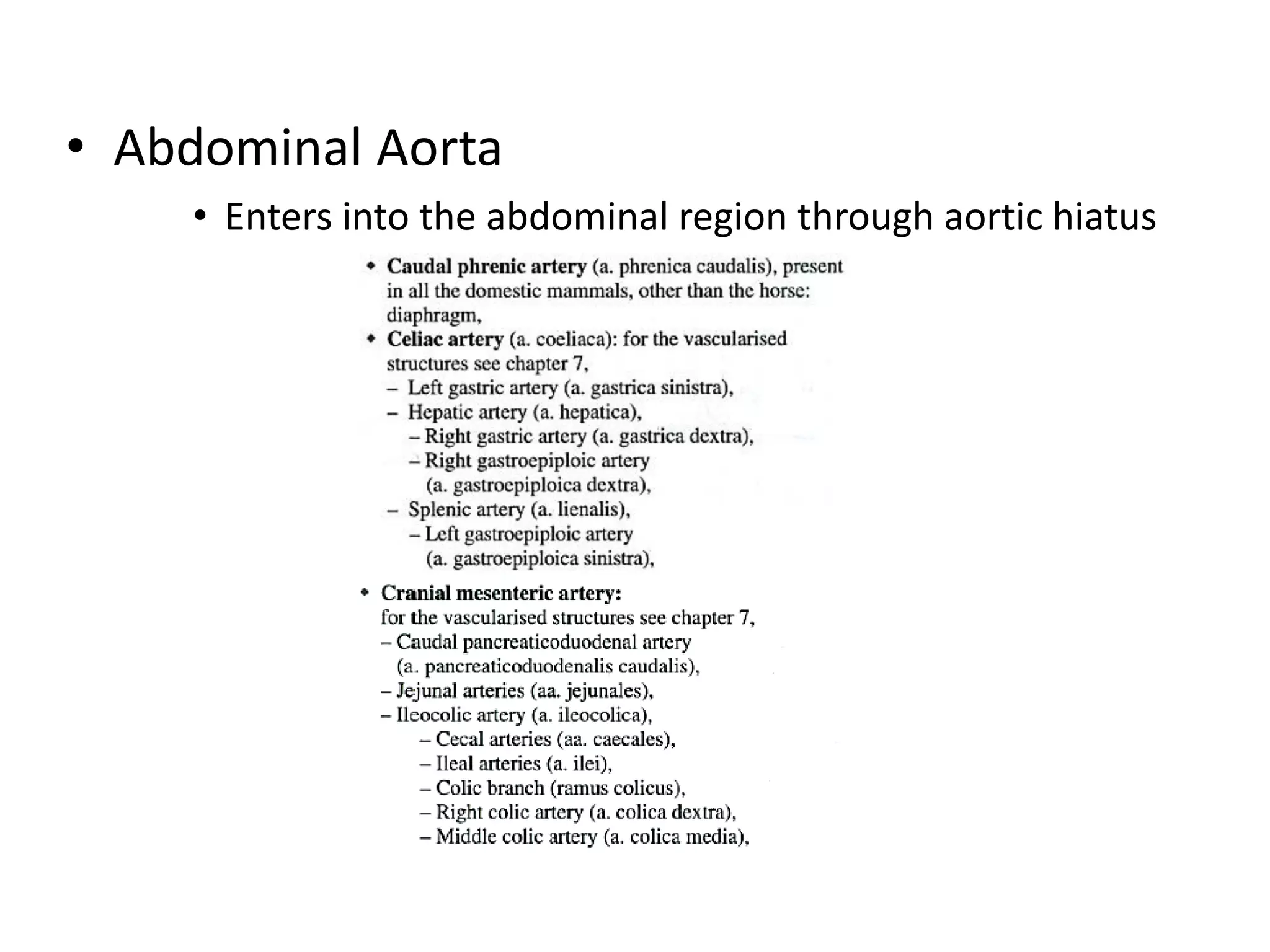 Veterinary Anatomy of Cardiovascular system and specie difference ...