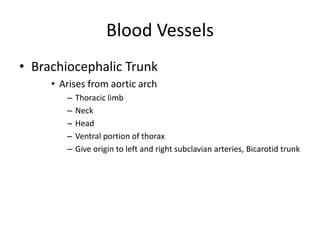 Veterinary Anatomy of Cardiovascular system and specie difference ...