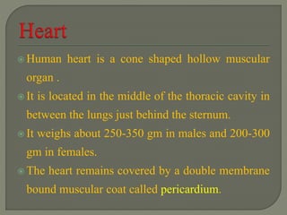Cardiovascular system | PPT