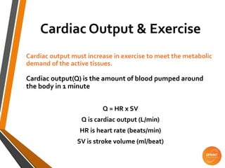 Cardiovascular system | PPT | Heart and Cardiovascular Diseases ...