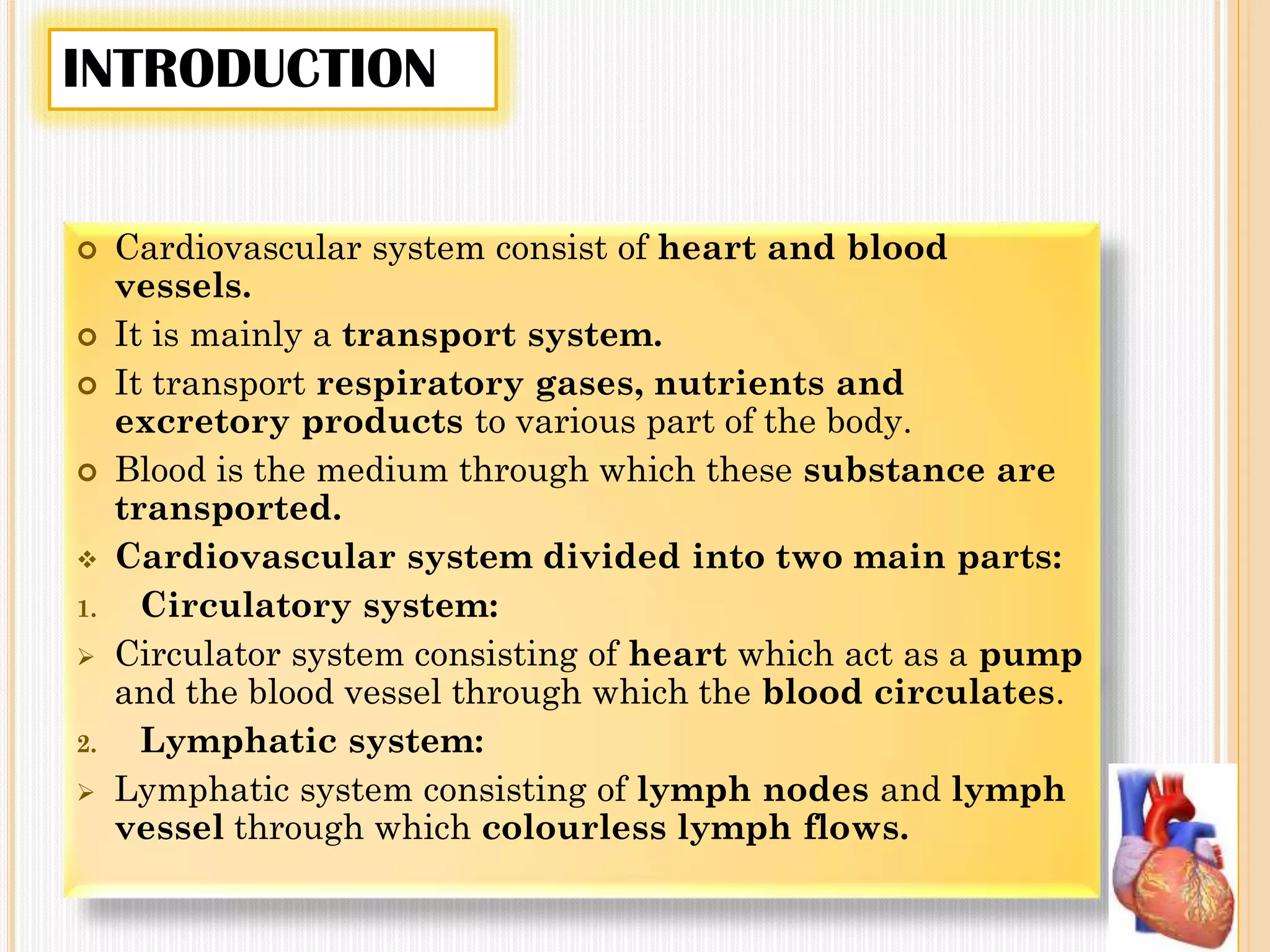 Cardiovascular System | PPT