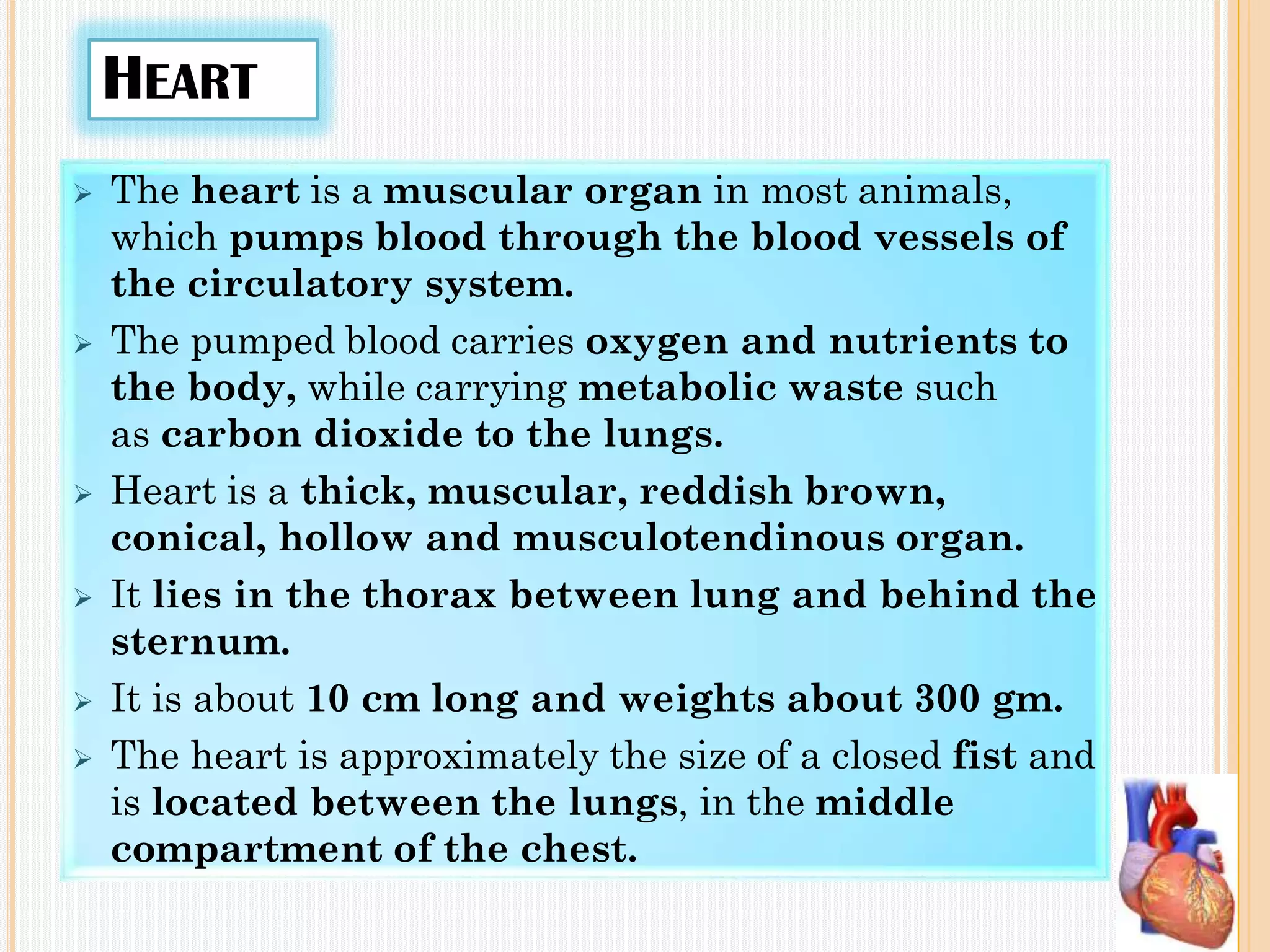 Cardiovascular System | PPT