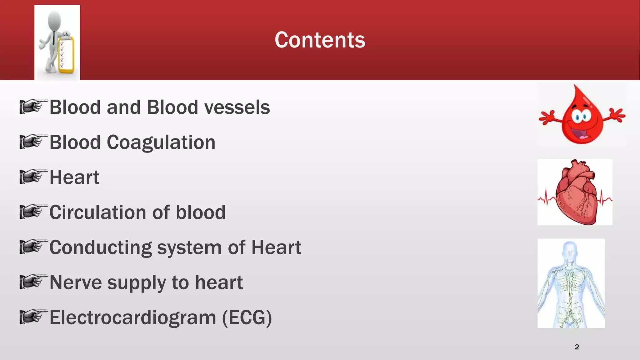 Cardiovascular system | PPT