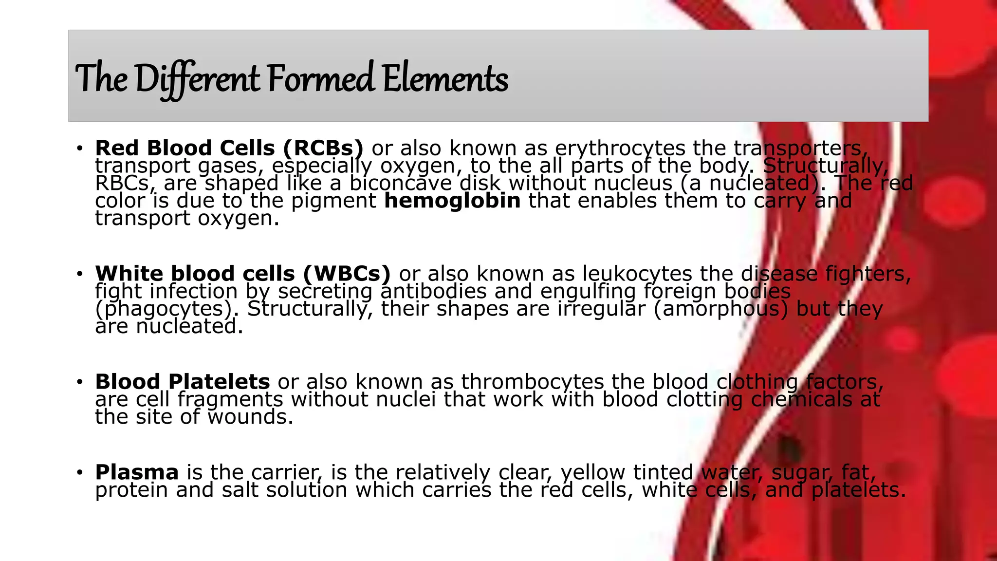 Cardiovascular system | PPTX