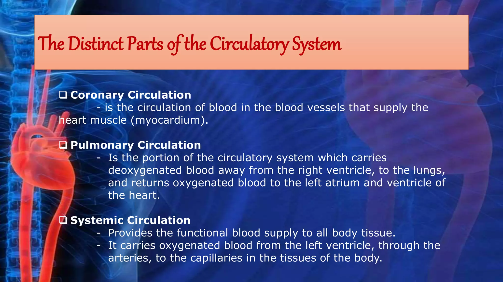 Cardiovascular system | PPTX