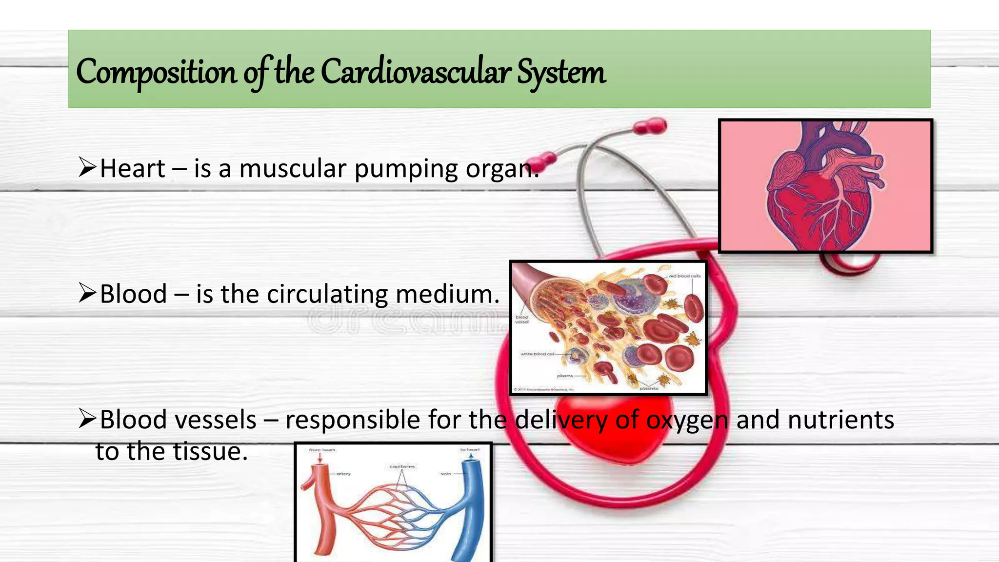 Cardiovascular system | PPTX