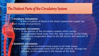 Cardiovascular system | PPTX