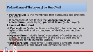 Cardiovascular system | PPTX
