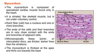 Cardiovascular system | PPTX