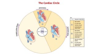 Cardiovascular system | PPTX