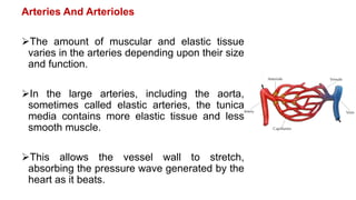 Cardiovascular system | PPTX
