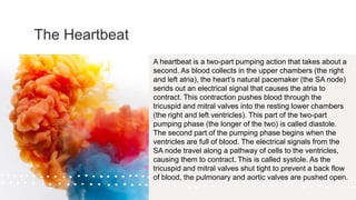 Cardiovascular system | PPTX