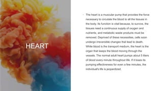 Cardiovascular system | PPTX