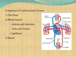 Cardiovascular system | PPT