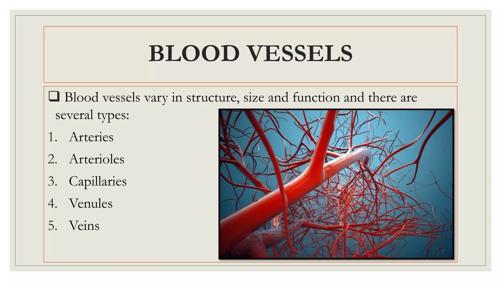 arteries, arterioles, veins, venules, capillary and fluid or gaseous ...