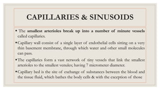 arteries, arterioles, veins, venules, capillary and fluid or gaseous ...