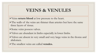 arteries, arterioles, veins, venules, capillary and fluid or gaseous ...