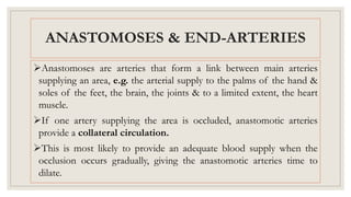 arteries, arterioles, veins, venules, capillary and fluid or gaseous ...