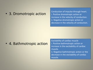Cardiovascular system | PPT
