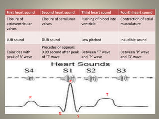Cardiovascular system | PPT