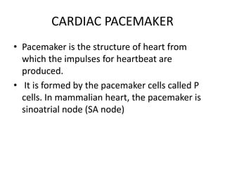 Cardiovascular system | PPTX
