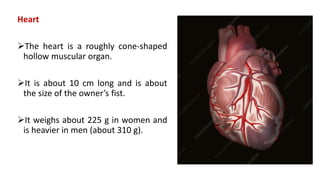 Cardiovascular system | PPTX