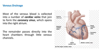 Cardiovascular system | PPTX