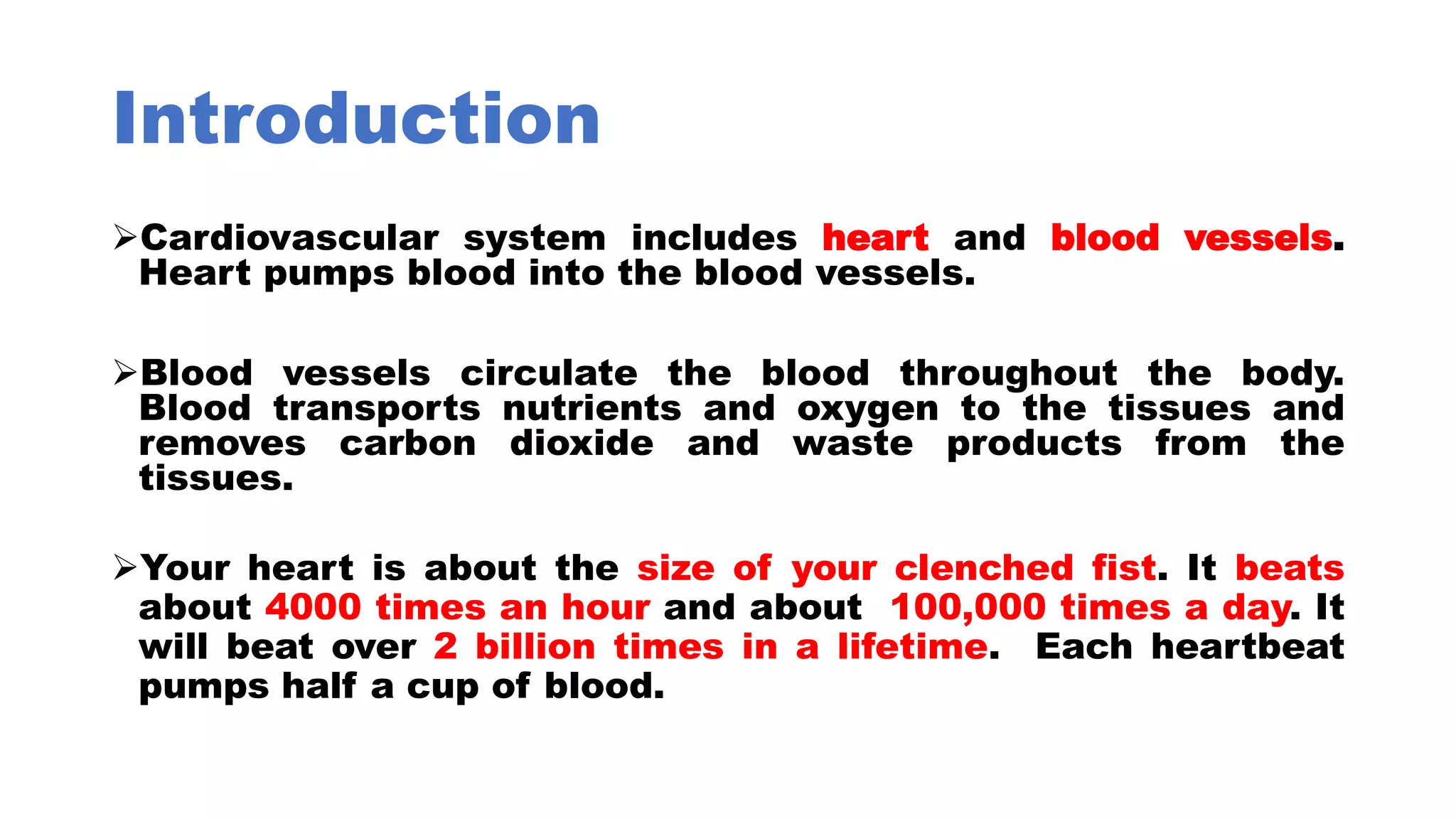 Cardiovascular System.pptx
