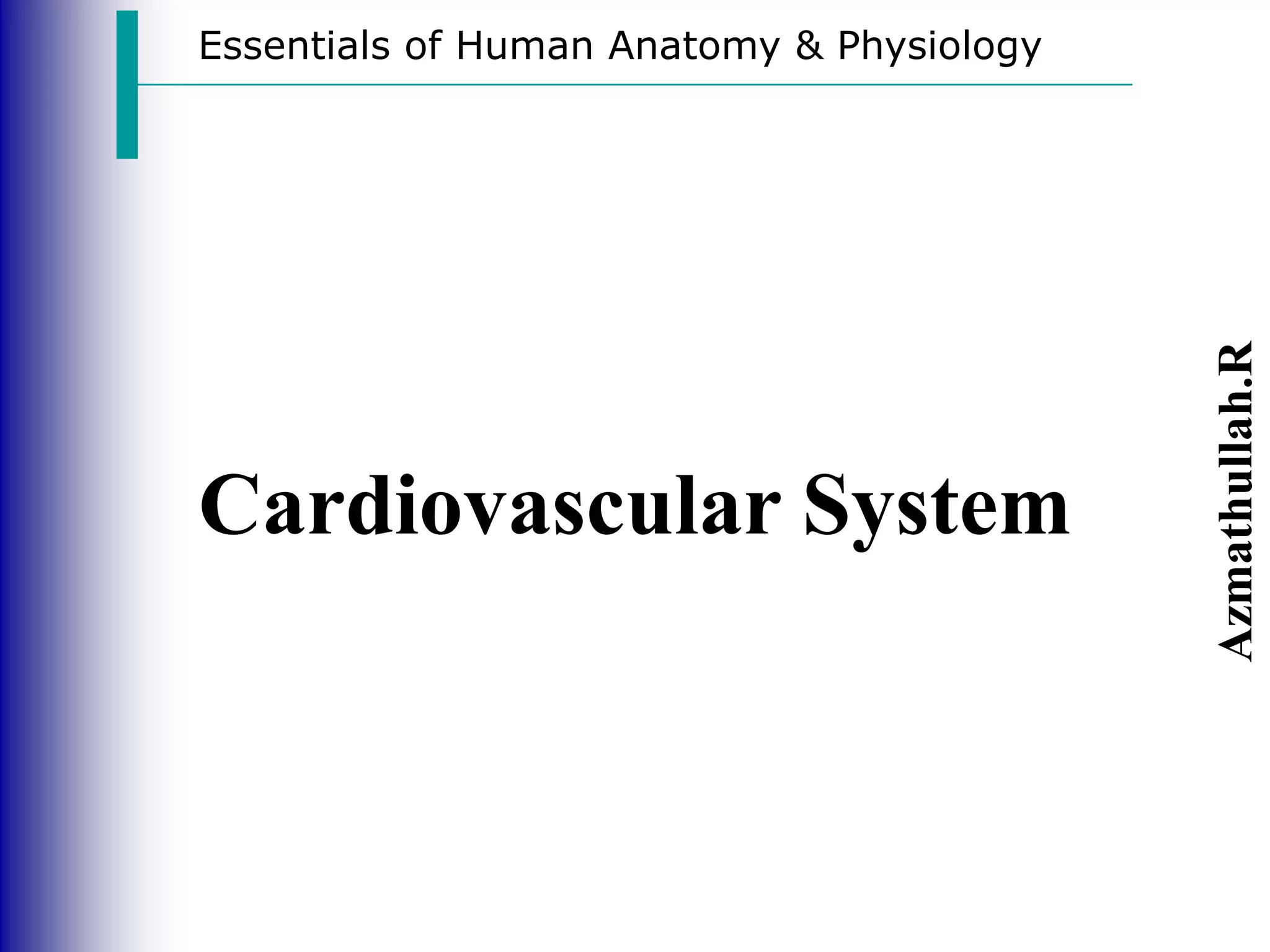 Cardiovascular system.ppt