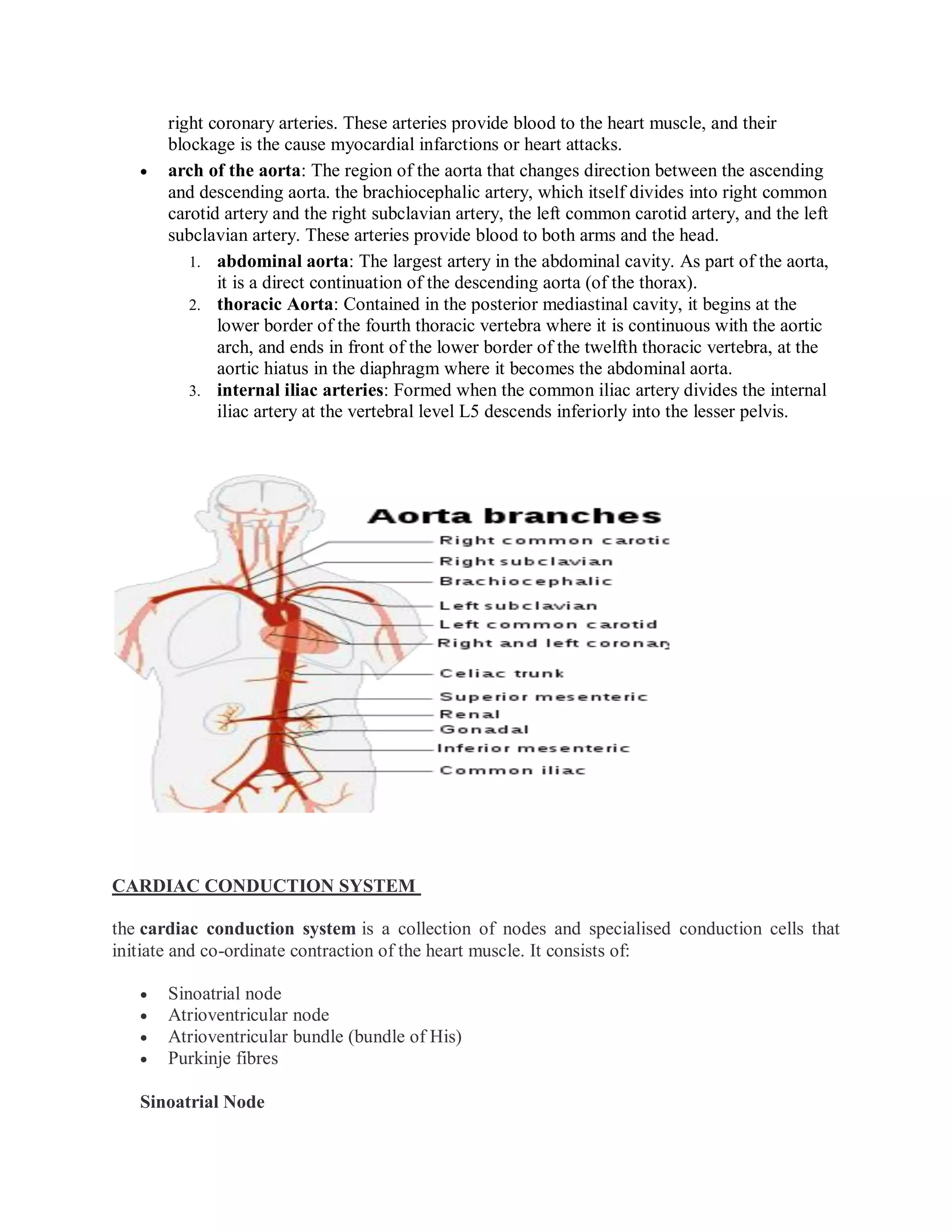 CARDIOVASCULAR SYSTEM | PDF