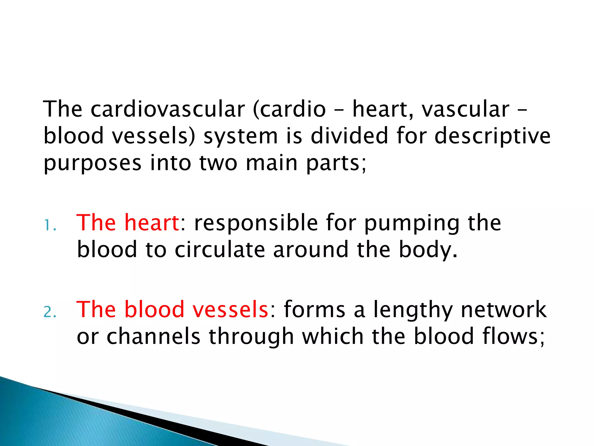 CARDIOVASCULAR SYSTEM.pptx
