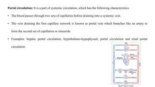 Cardiovascular System.pptx