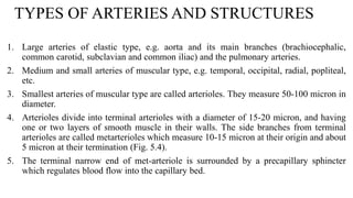 Cardiovascular System.pptx