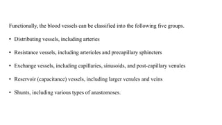 Cardiovascular System.pptx