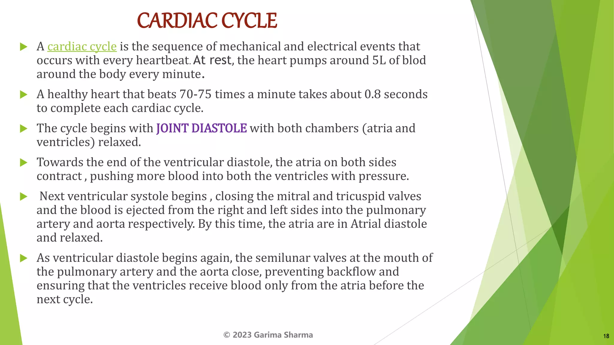 CARDIOVASCULAR SYSTEM.pptx