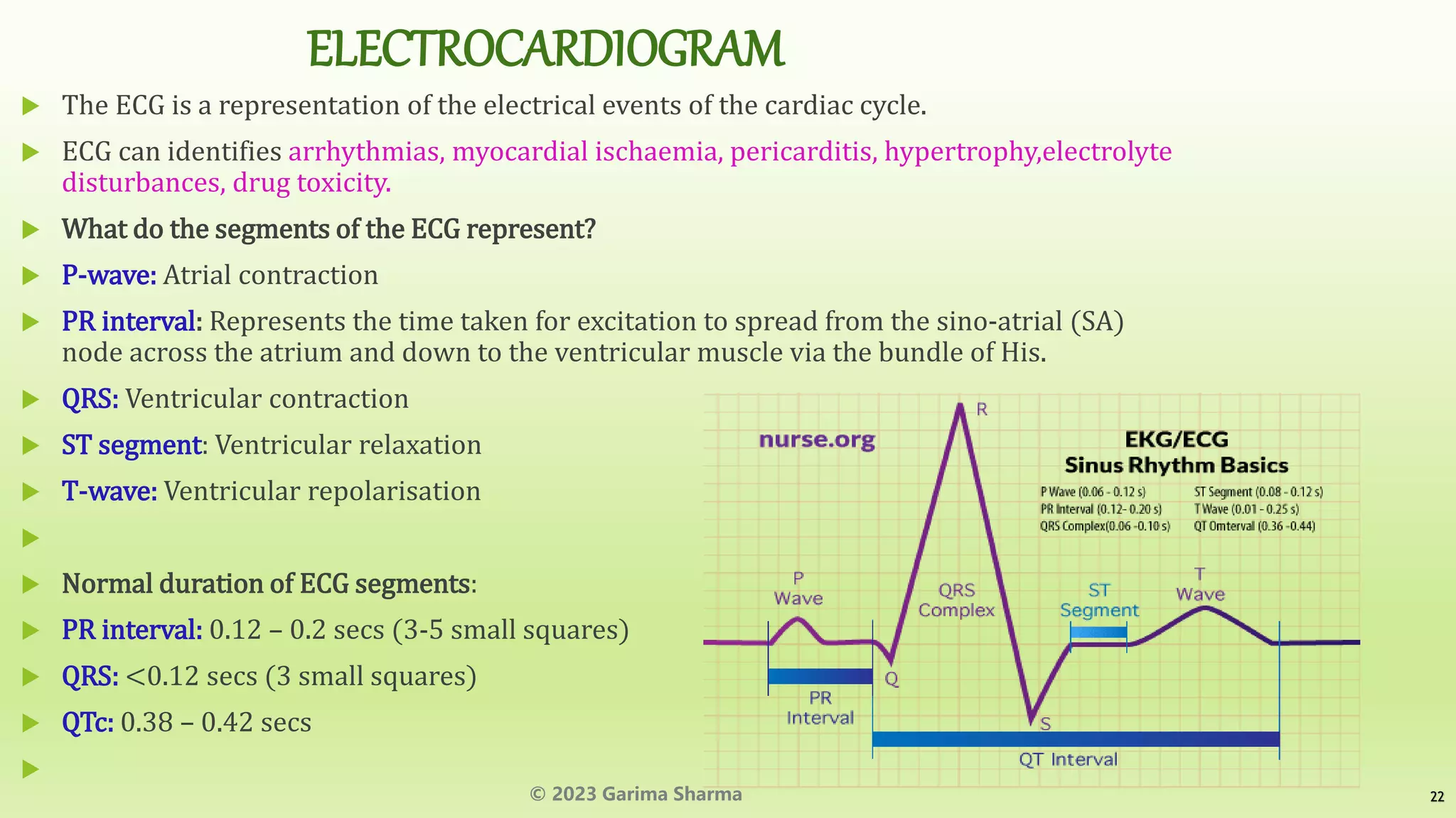 CARDIOVASCULAR SYSTEM.pptx
