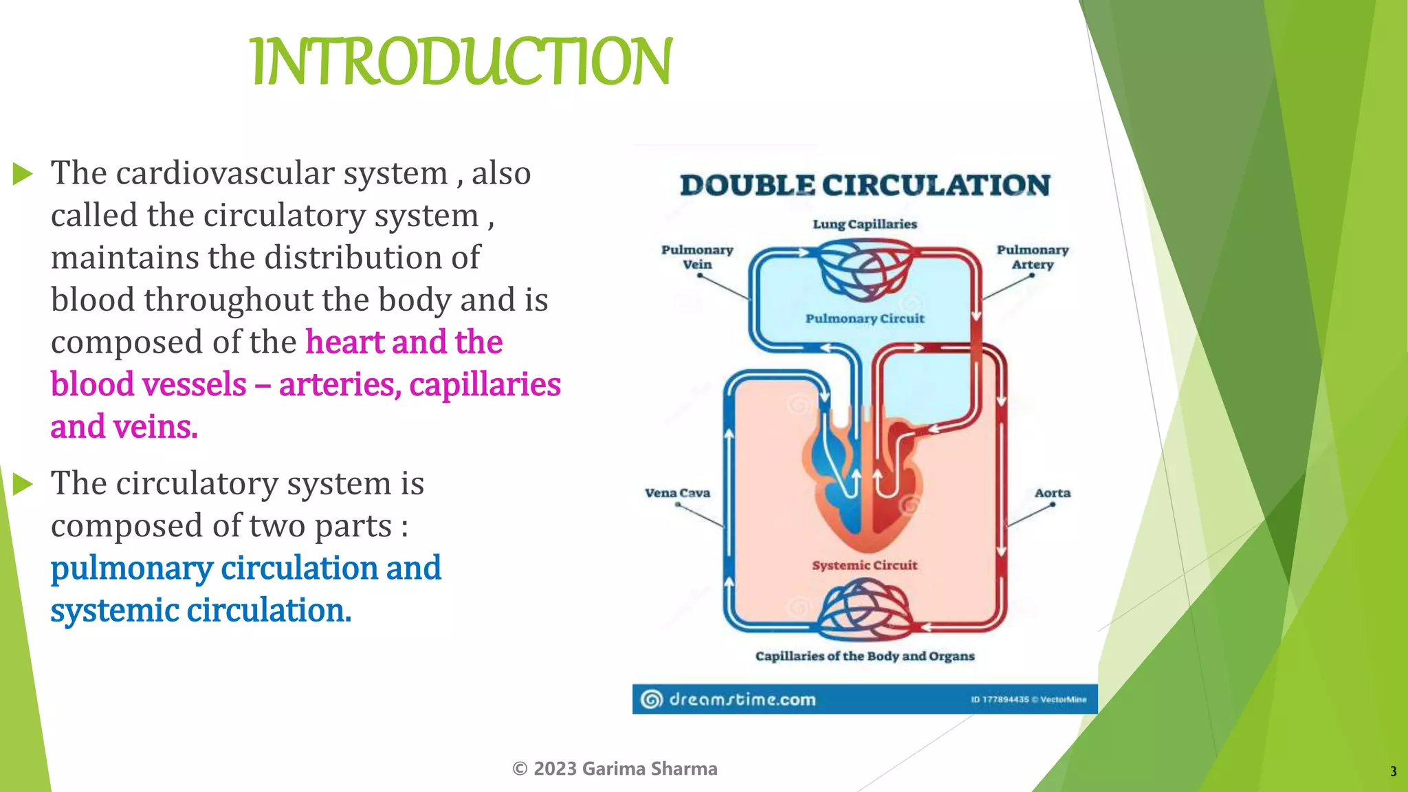 CARDIOVASCULAR SYSTEM.pptx