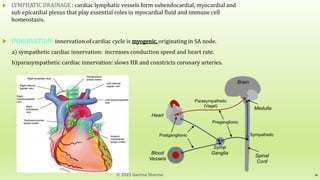 CARDIOVASCULAR SYSTEM.pptx