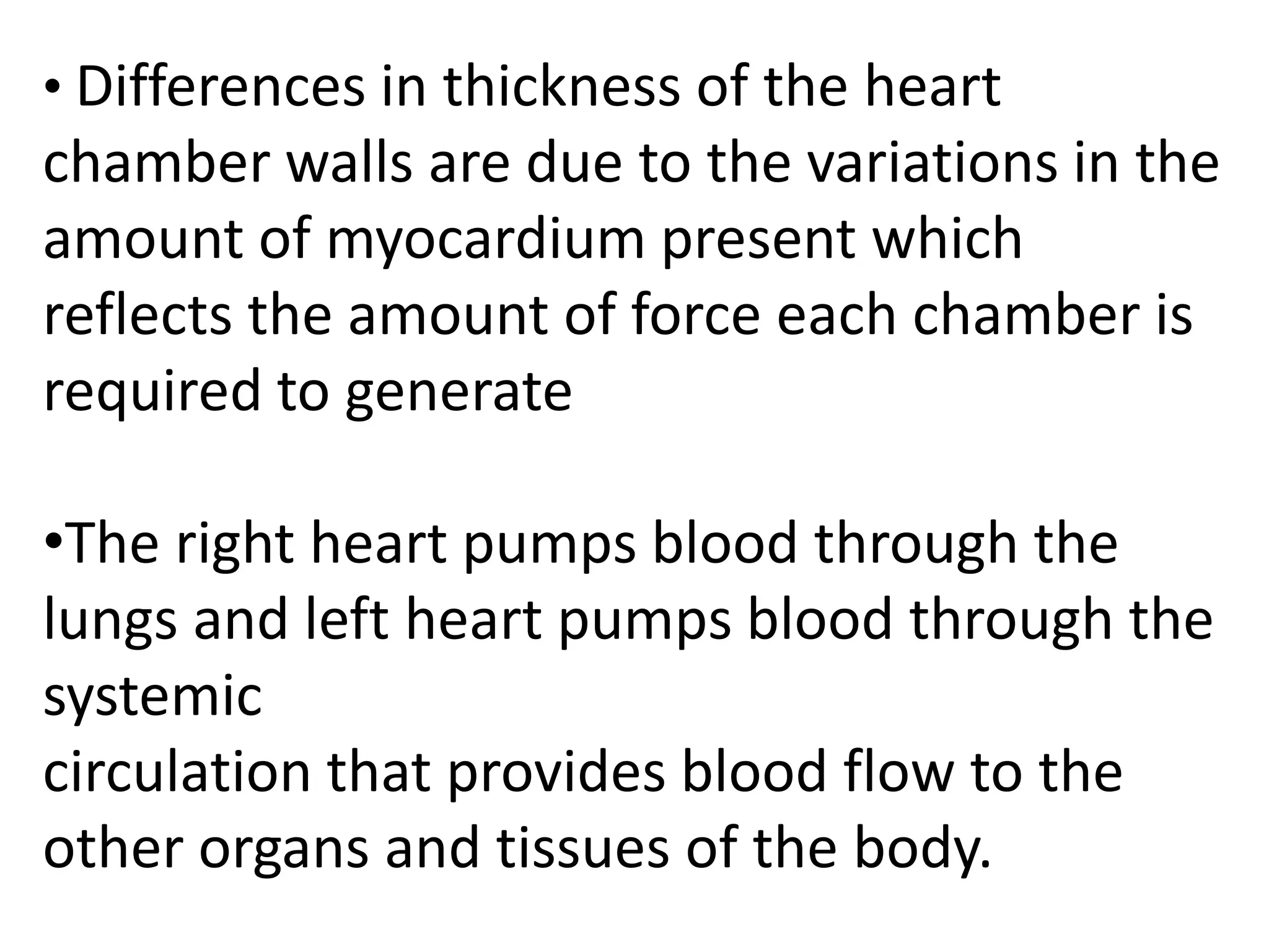 CARDIOVASCULAR SYSTEM.pptx