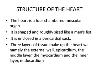 CARDIOVASCULAR SYSTEM.pptx